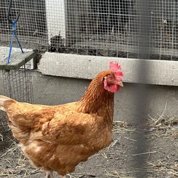 FRYING PAN FARM PARK - Updated January 2026 - 374 Photos & 101 Real ...