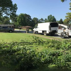 ADAMS TREE SERVICE - Huntsville, Alabama - Tree Services - Phone Number ...