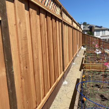 FINESSE FENCE with reviews - Updated September 2024 - 503 Photos & 50 ...