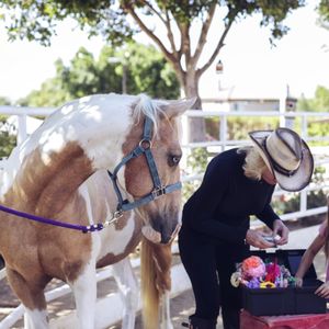 RIVERSIDE COUNTY DEPARTMENT OF MENTAL HEALTH - Updated May 2025 - 2085 ...