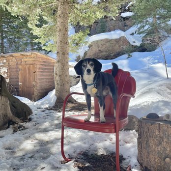 THE FLYING MOON CABINS - Updated December 2025 - 74 Photos & 31 Reviews ...