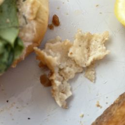 WHITE DUCK BREW PUB - 27 Photos & 36 Reviews - 2527 US-202, Winthrop, ME - Yelp