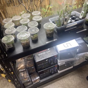 EAST BAY VIVARIUM - Updated January 2026 - 726 Photos & 619 Real ...