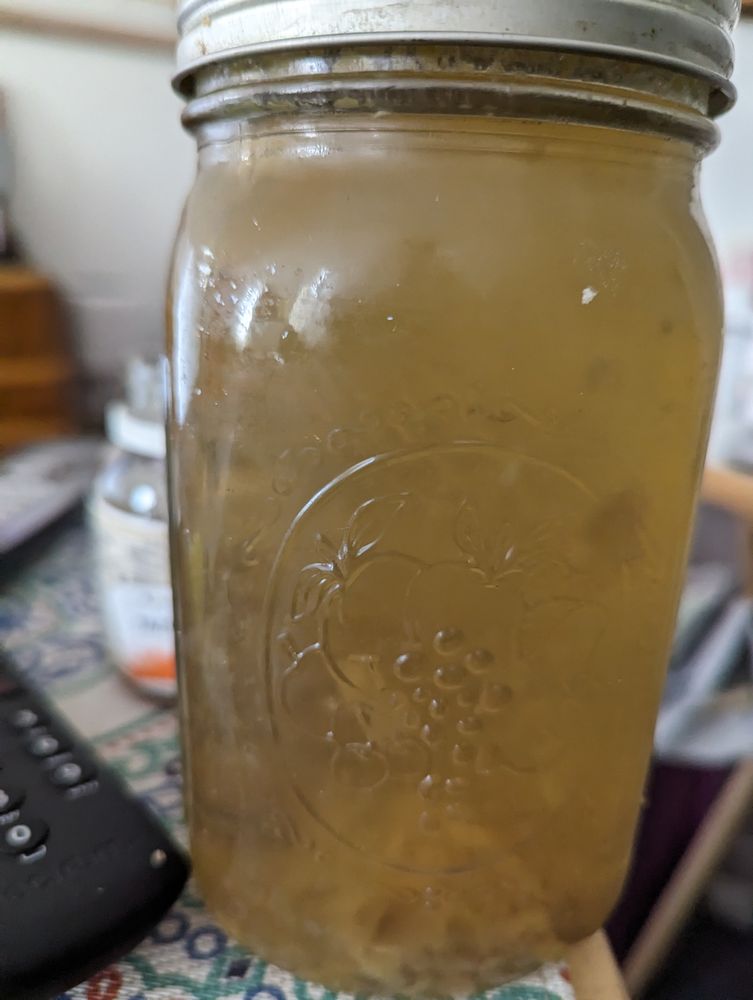 OWL VENICE - Updated December 2025 - 141 Photos & 61 Reviews - 12906 ...