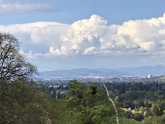 DIABLO FOOTHILLS REGIONAL PARK - Park in Walnut Creek, California at ...