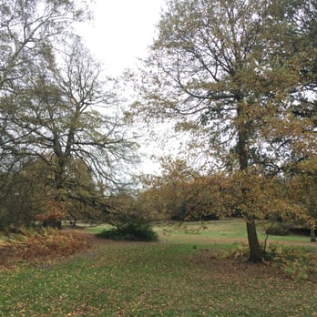 SUTTON PARK - Updated August 2025 - 187 Photos & 23 Reviews - Park Road ...