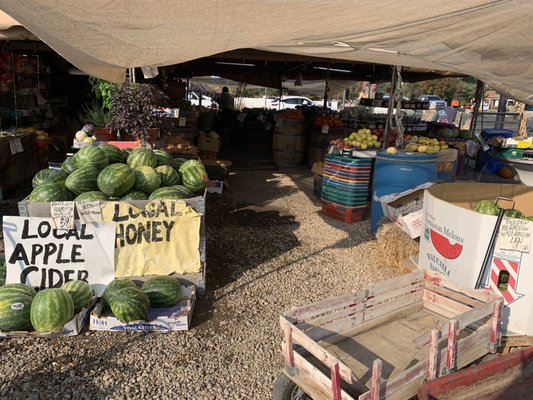 REGGIE’S VEGGIES - Updated October 2024 - 22 Photos & 21 Reviews - 8199 ...