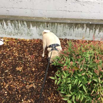 COUNTERBALANCE PARK - Updated January 2025 - 233 Photos & 21 Reviews ...