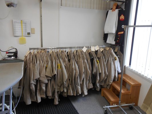 CURTIS BLUE LINE - Updated December 2025 - 17 Photos & 38 Reviews ...