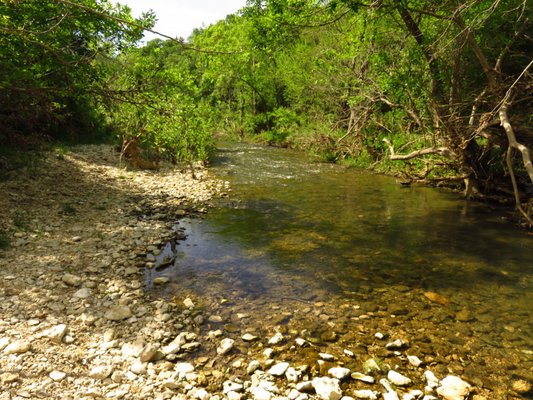 Berry Springs Park And Preserve - 44 Photos & 11 Reviews - Parks - 1801 ...