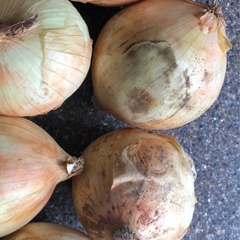 MILLER FARMS - Updated October 2025 - 97 Photos & 83 Reviews - 9040 Hwy ...