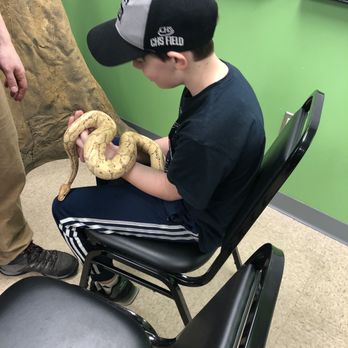 SNAKE DISCOVERY A REPTILE EXPERIENCE - Updated October 2025 - 44 Photos ...
