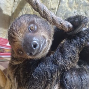 HOUSTON INTERACTIVE AQUARIUM AND ANIMAL ADVENTURE - Updated August 2025 ...