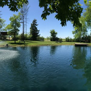 NA ZDRAVIE VINEYARD AND WINERY - 14 Photos - 13414 Marietta Rd ...