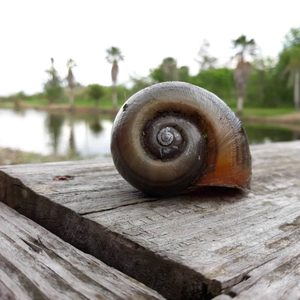 JOLLY GATOR FISH CAMP - 63 Photos & 58 Reviews - Seafood - 4650 E State ...