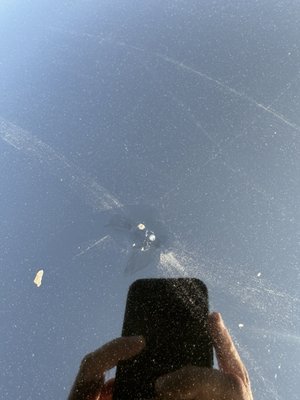 SAFELITE AUTOGLASS - Updated August 2025 - 56 Photos & 251 Reviews ...