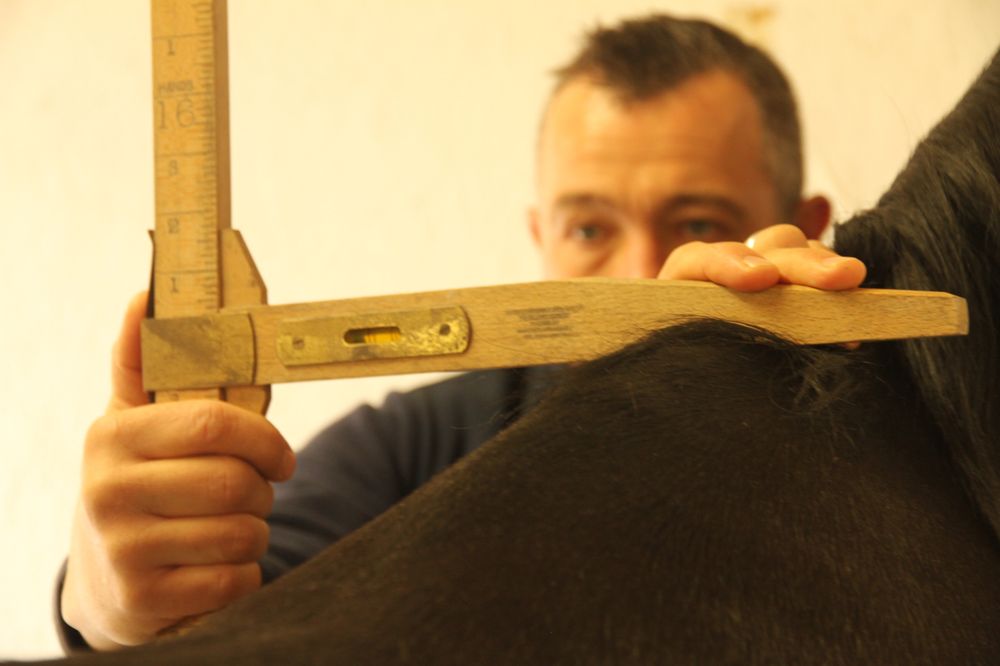 SIMON CONSTABLE’S EQUINE VETS - Updated October 2025 - Heaps Cottage ...