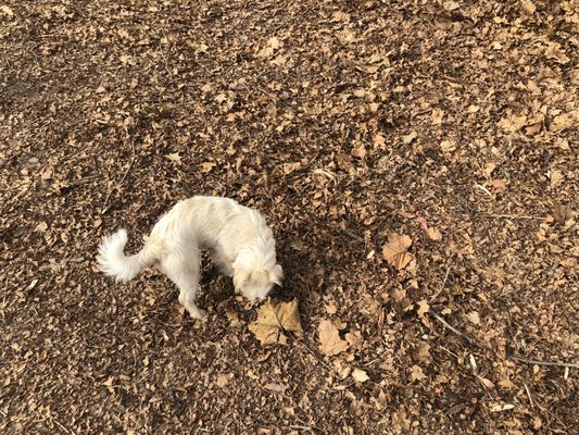 EWEN PARK - 25 Photos - Riverdale And 231st St, Bronx, New York - Parks ...