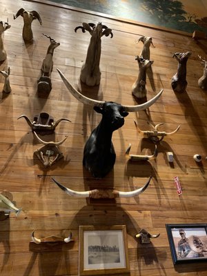 BASS PRO SHOPS - 150 Photos & 112 Reviews - 200 Bass Pro Dr, Round Rock ...