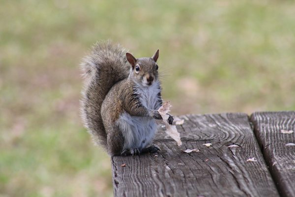 BRIAN PICCOLO SPORTS PARK & VELODROME - 126 Photos & 35 Reviews - 9501 ...