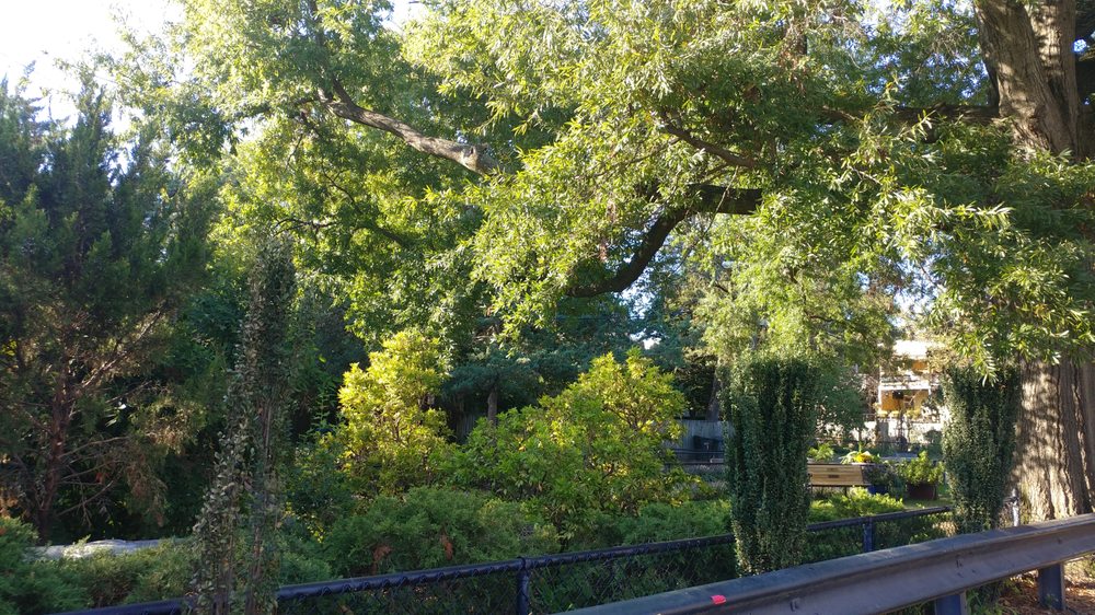 SCUFFLETOWN PARK - Updated August 2024 - 418 Strawberry St Alley, Richmond, Virginia - Parks - Yelp