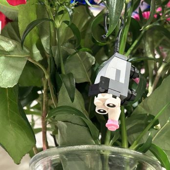 BRICKS & MINIFIGS ORANGE - Updated October 2025 - 12 Photos & 14 ...