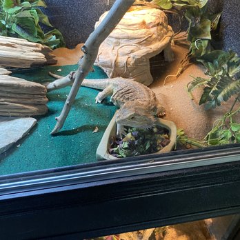 PHILLIPS PARK ZOO - Updated September 2024 - 233 Photos & 99 Reviews ...