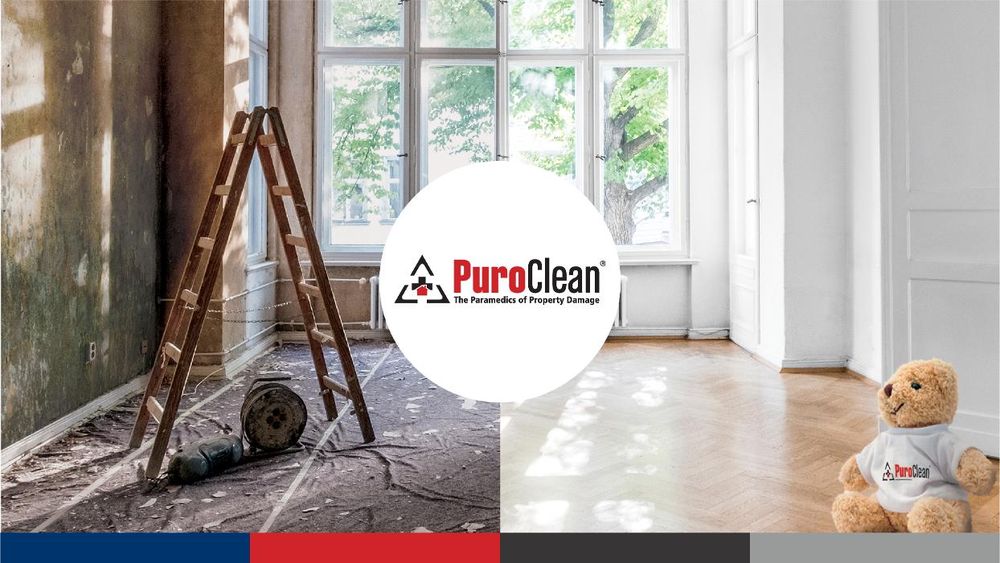 PUROCLEAN - Updated April 2024 - 34 Photos - 1210 Savannah Ct ...