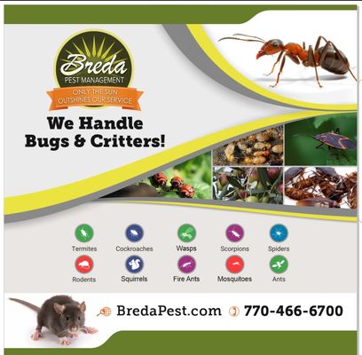 BREDA PEST MANAGEMENT - Updated December 2025 - 11 Photos & 69 Reviews ...