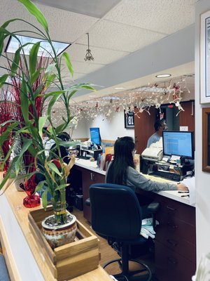 OISHI CALVIN, MD - Updated June 2026 - 13 Photos & 40 Reviews - 405 N ...