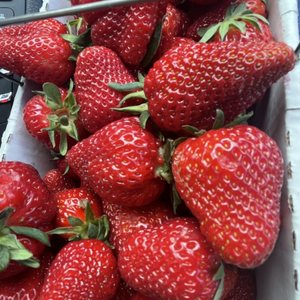 OSAGE FARM - 58 Photos & 29 Reviews - 5030 N Hwy 441, Rabun Gap ...