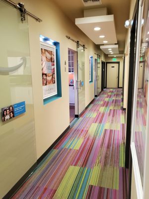 LUTZ DENTAL - Updated January 2026 - 22 Photos - 19105 Us-41, Lutz ...