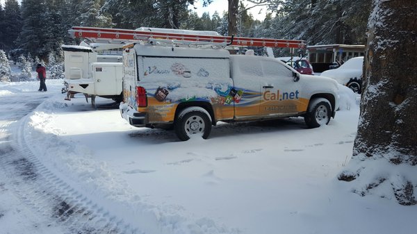 CAL NET - Updated October 2025 - 21 Photos & 115 Reviews - 4101 Wild ...