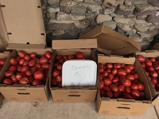 PONDUCE FARMS - Updated December 2025 - 40 Photos - 270 White Church Rd ...