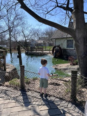 COSLEY ZOO - Updated August 2025 - 330 Photos & 148 Reviews - 1356 N ...