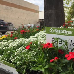 SiteOne Landscape Supply Reviews | Read Customer Service Reviews of ...