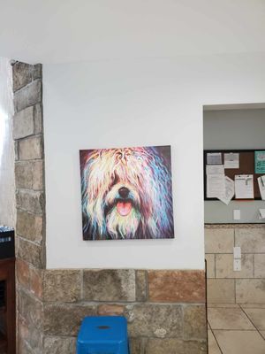 BLESSED OASIS PET RESORT - Updated December 2025 - 47 Photos & 58 ...