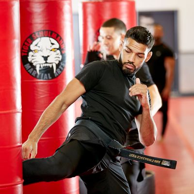 TIGER SCHULMANN’S MARTIAL ARTS - BAYSIDE - Updated December 2025 - 19 ...