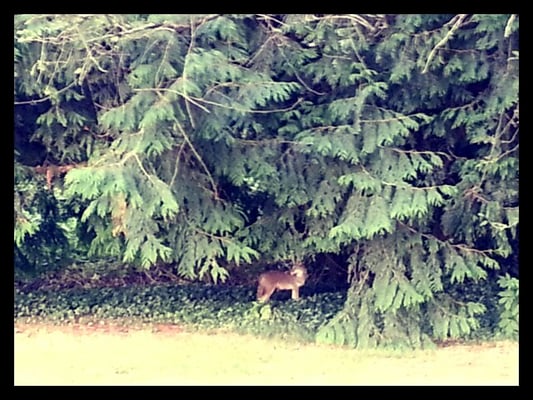 MCCLEERY GOLF COURSE - Updated August 2024 - 12 Photos & 11 Reviews ...