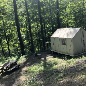 TREETOPIA CAMPGROUND - 100 Photos & 20 Reviews - Campgrounds - 1446 ...