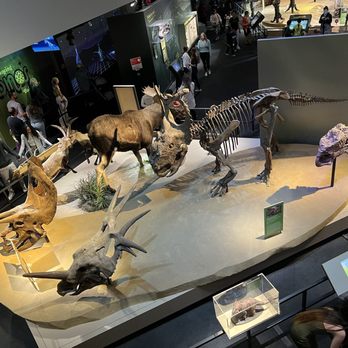 PEROT MUSEUM OF NATURE AND SCIENCE - Updated May 2024 - 2290 Photos ...