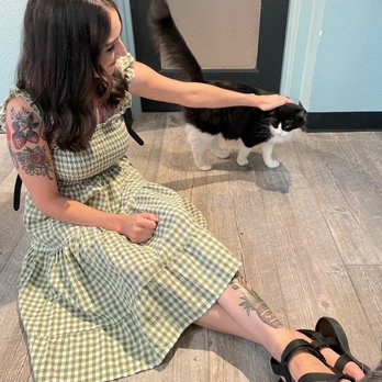 PHX CAT CAFE - 464 Photos & 124 Reviews - 147 E Garfield St, Phoenix, Arizona - Pet Adoption - Yelp