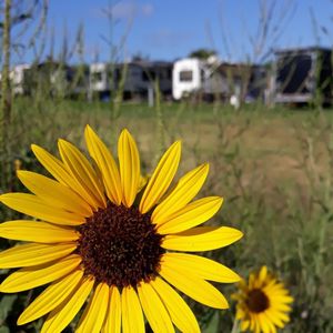 THE RV RESORT - Updated November 2025 - 24 Photos - 5300 S Interstate ...