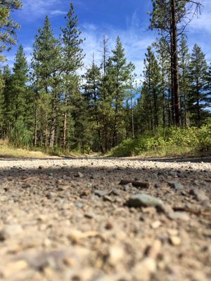 RATTLESNAKE NATIONAL RECREATION AREA AND WILDERNESS - Updated September ...