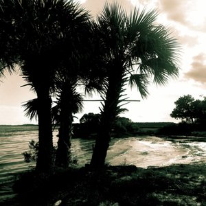 SHELL POINT BEACH - Updated December 2025 - 47 Photos & 14 Reviews ...