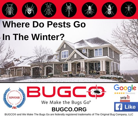 BUGCO PEST CONTROL SAN ANTONIO - Updated October 2025 - 65 Photos & 20 ...