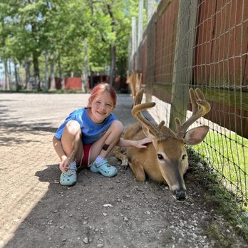 WISCONSIN DEER PARK - Updated June 2025 - 248 Photos & 132 Reviews ...