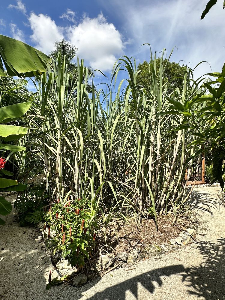 FLOGROWN FARM - Updated July 2025 - 34 Photos - 7600 NW 84th Ave ...