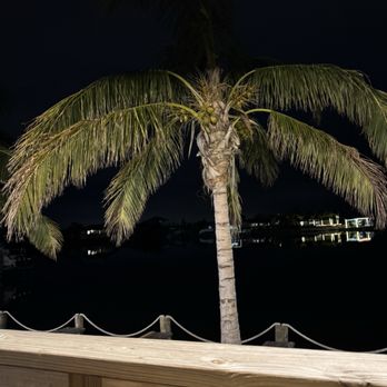 FINN’S DOCKSIDE BAR & GRILL - Updated April 2025 - 458 Photos & 280 ...