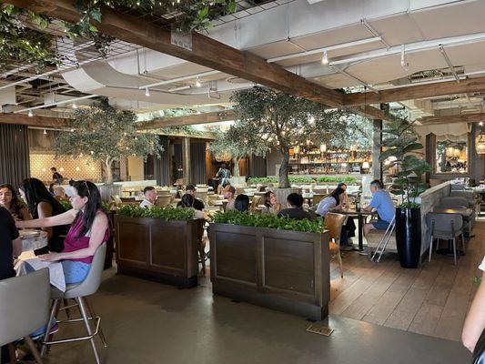 ABA - Updated September 2025 - 4709 Photos & 1867 Reviews - 302 N Green ...